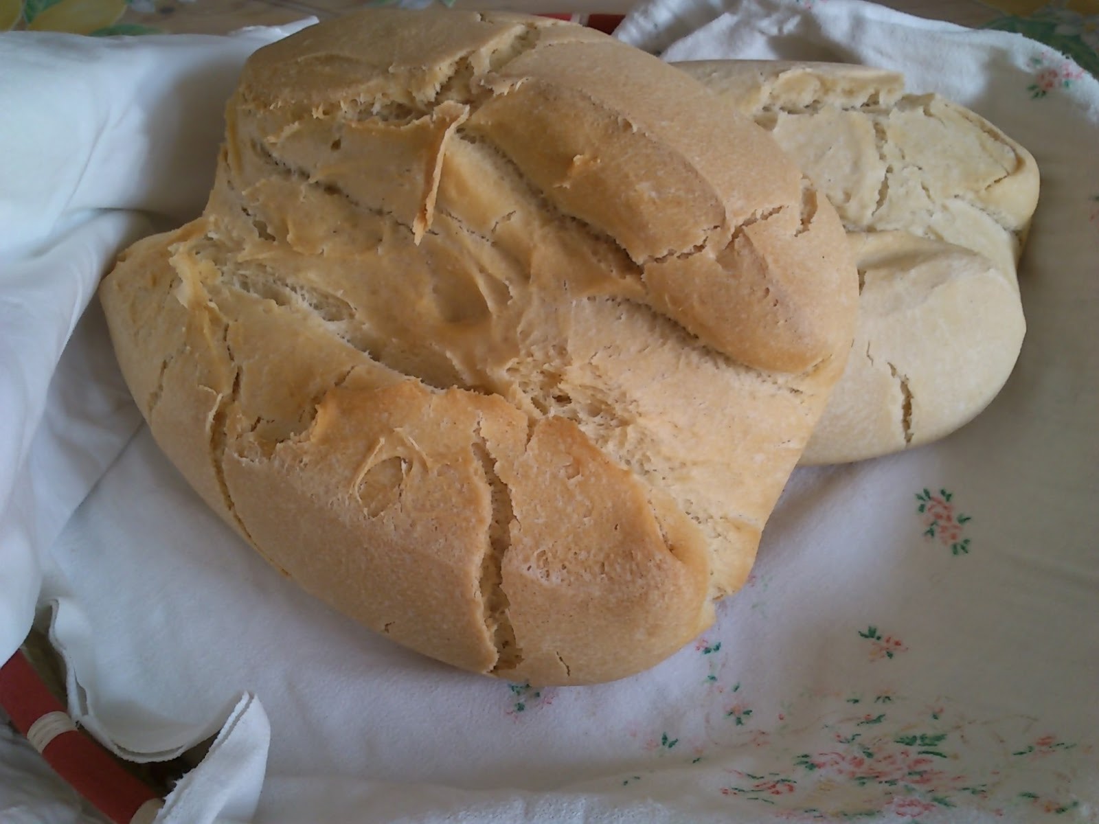 PANE COTTO AL FORNO SOLARE COOKING BREAD SOLAR OVEN
