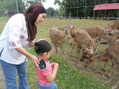 My Sweet Family: Sepetang di Taman Rusa UUM