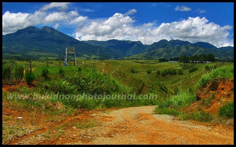 Bukidnon Photo Journal: Culasi, Sumilao, Bukidnon