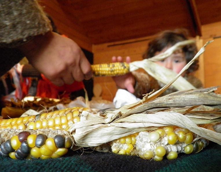 OTRO URUGUAY ES POSIBLE: Mapuches de Argentina y Chile proclaman ...