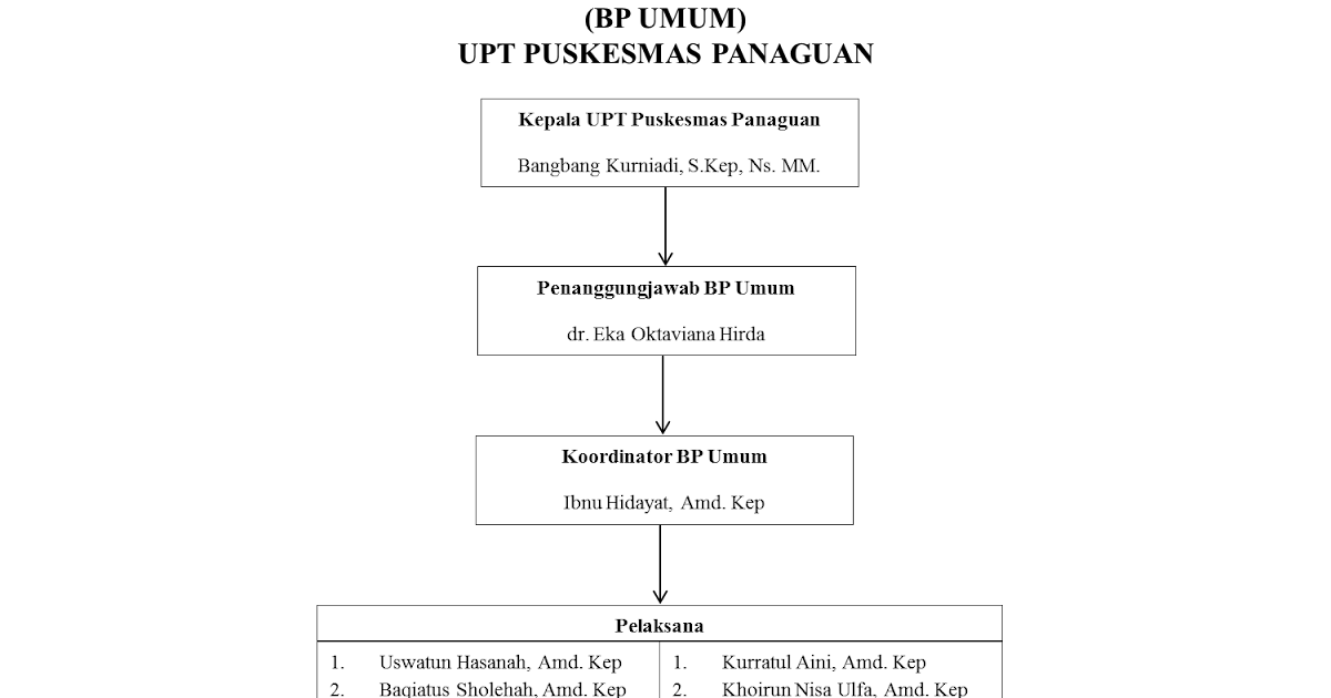 Struktur Organisasi Balai Pengobatan Umum ~ UPT PUSKESMAS PANAGUAN