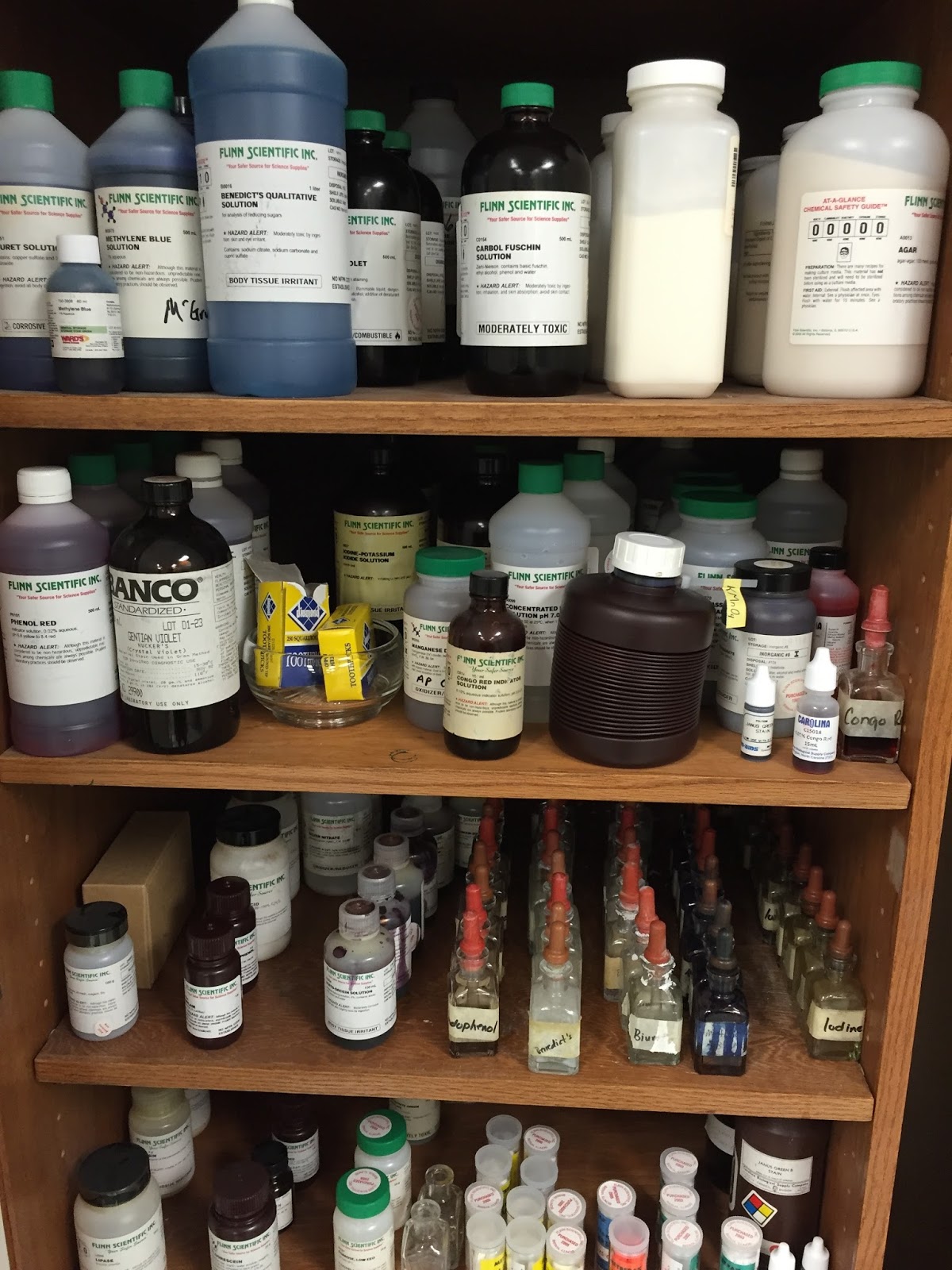 Amy Brown Science: Taking Students to the Laboratory? How to Plan and ...