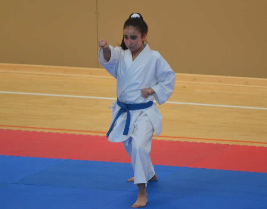 KARATE SHITO RYU ASTURIAS: Laura Ochoa Fernández del Gimnasio Arenas ...
