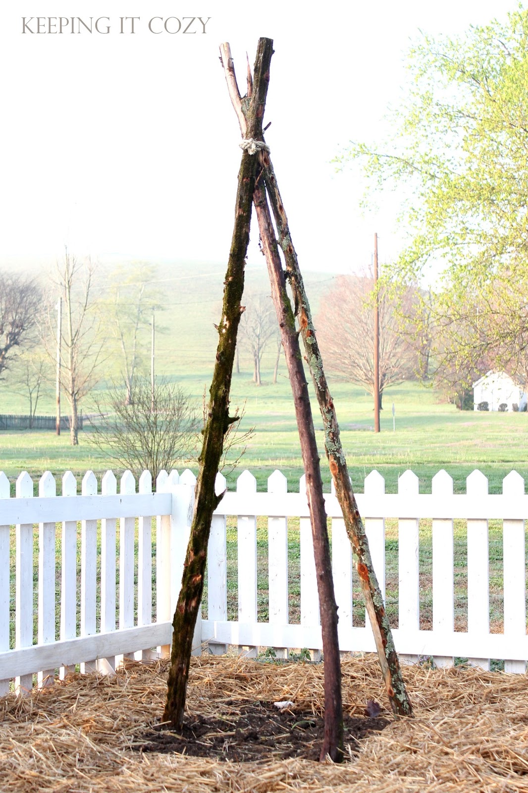 Keeping It Cozy: Cedar Poles in the Garden