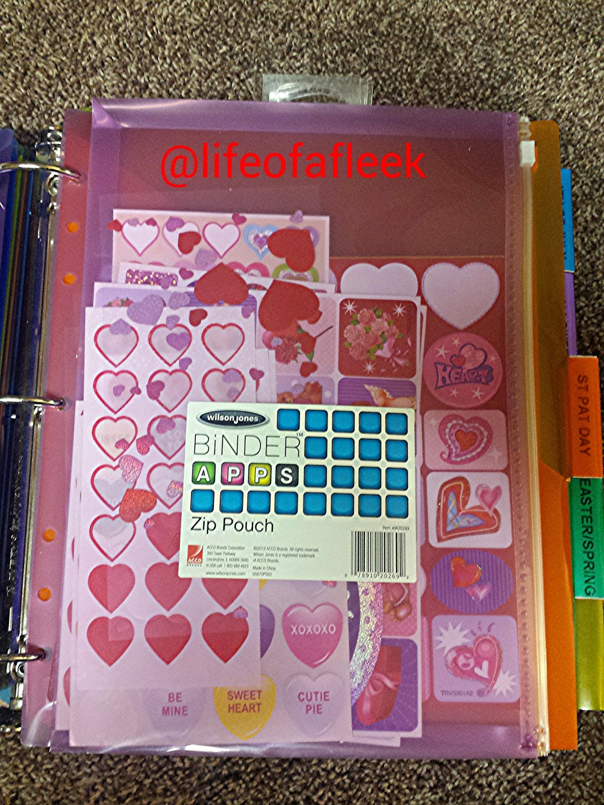 Life of a Fleek: Sticker Binder