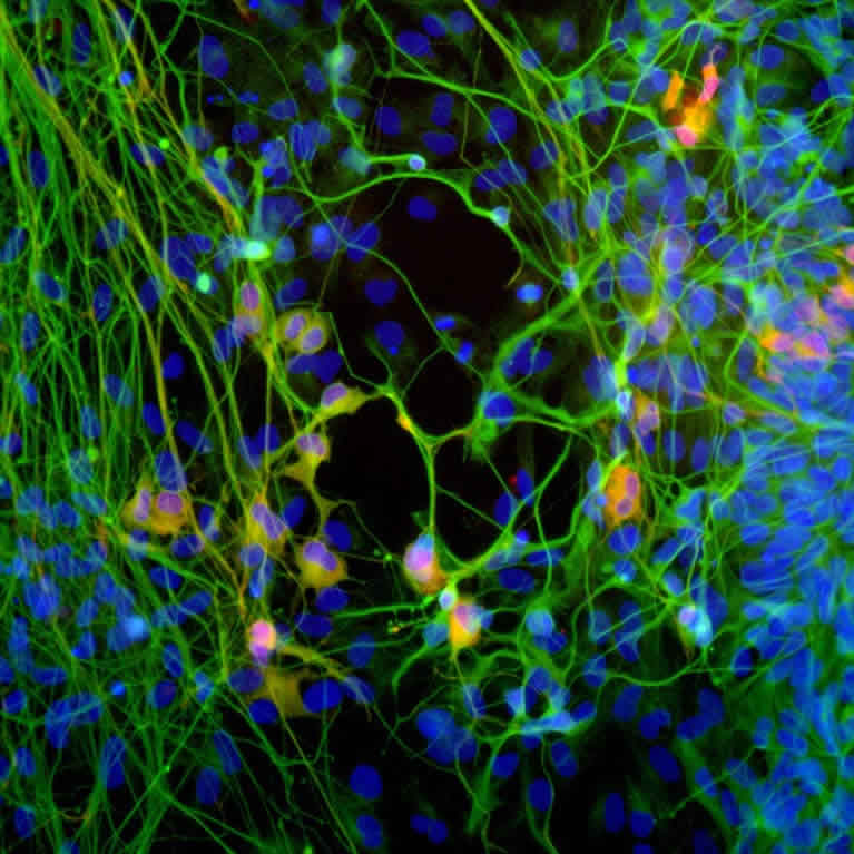 UM JEITO MANSO: De Fred “Rusty” Gage apenas os bonecos