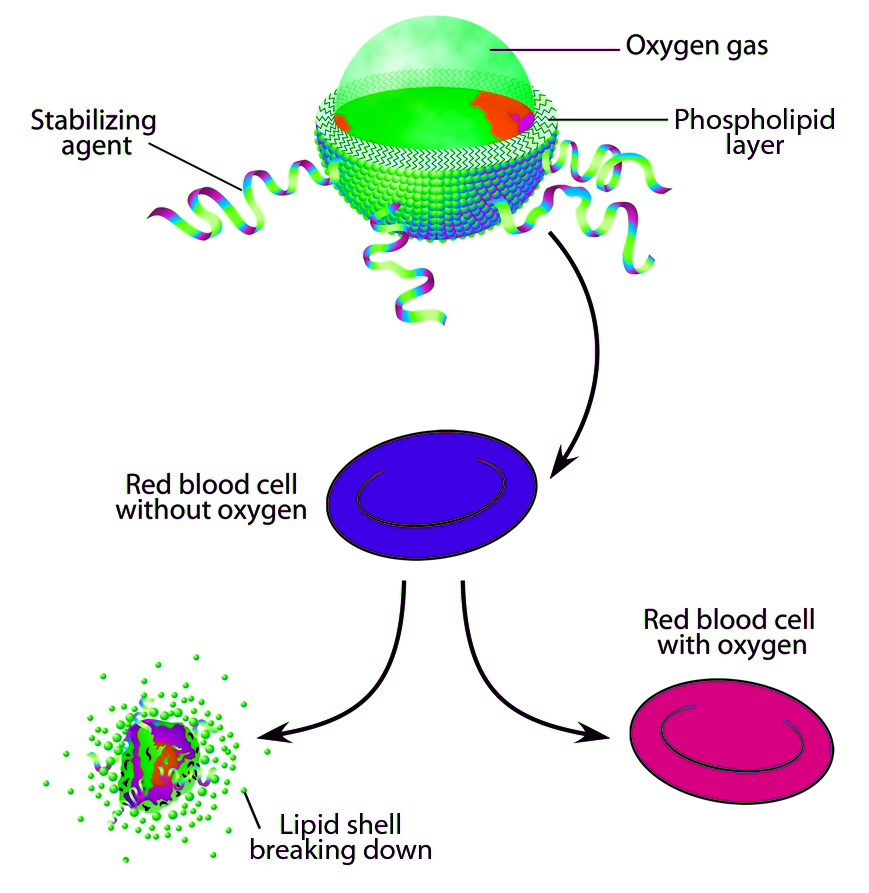 Injectable oxygen | NextBigFuture.com