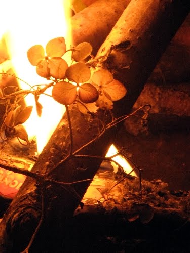 Diderot's Photo Blog: How Guy Fawkes Escaped the Pyre