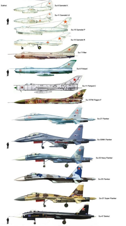 Just A Car Guy: fighter jet size comparison