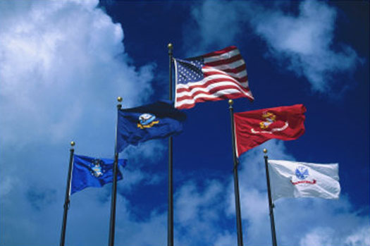 Let it fly!: Days of Strength: Military Birthdays & Armed Forces Day