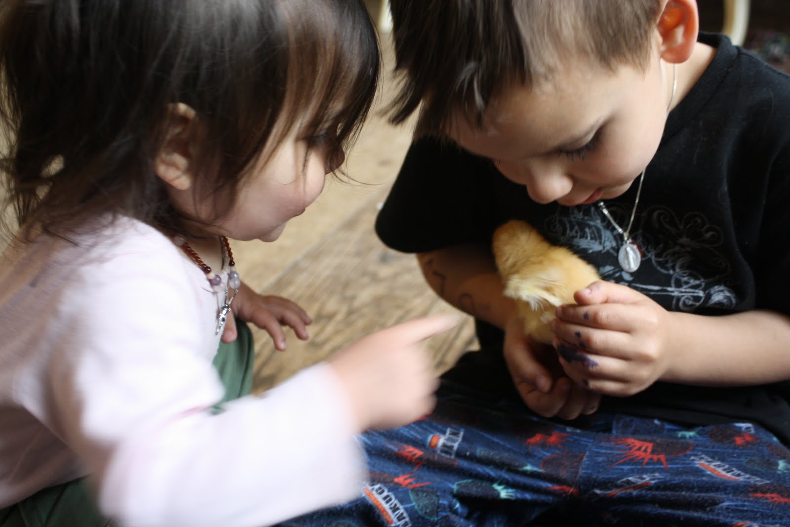 Woohoo! The Cuteness is Overwhelming! Baby Chicks have arrived ...