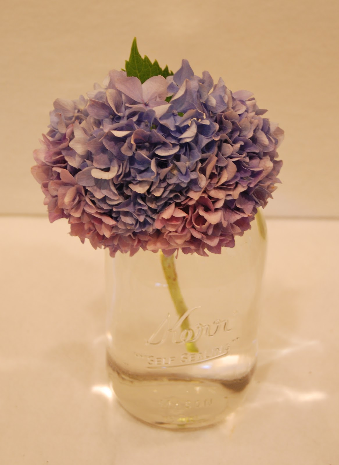 Imparting Grace: A tip for using hydrangeas