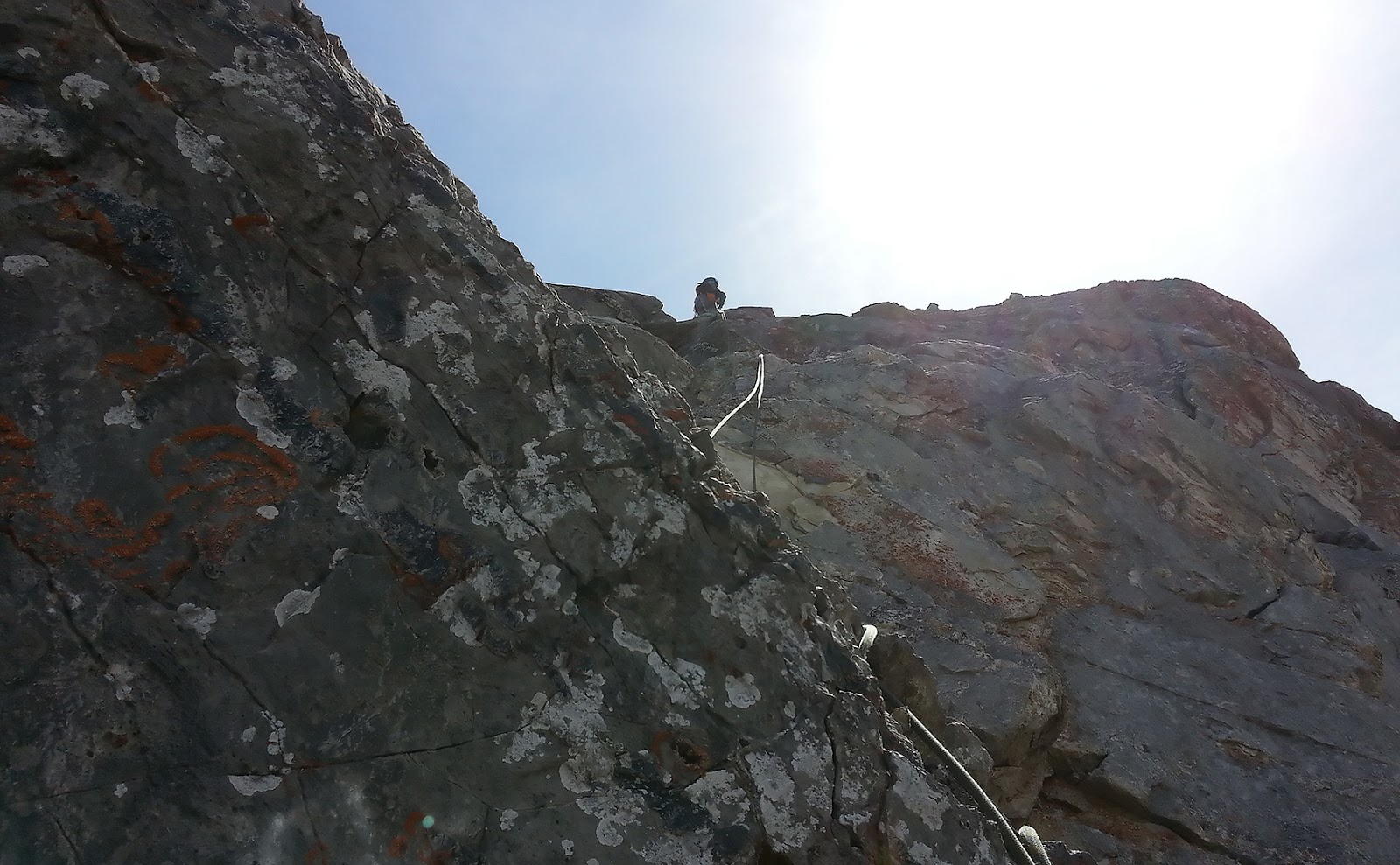 Life in the Mountains: Rundlehorn, Mount Rundle