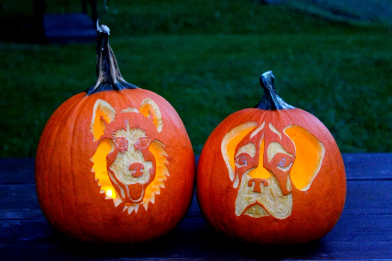 Here Comes The Fun: Puppy Pumpkins