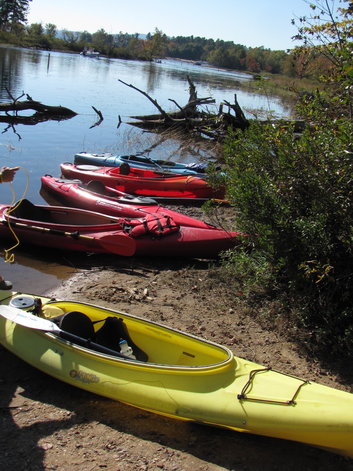 Recreational Kayaking in Maine: Songo River/Brandy Pond/Sebago Lake