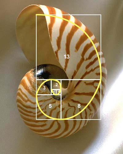 Saurondor: Do you play with Fibonacci?