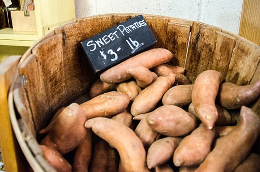 Encyclopedia Of Trivia Sweet Potato encyclopedia-of-trivia-sweet-potato