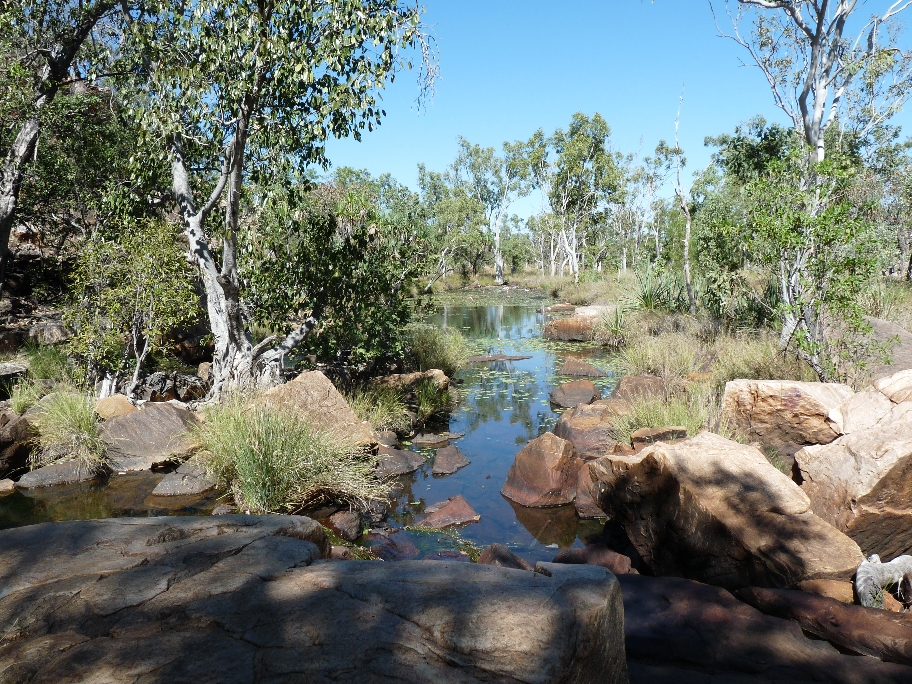 Alex & Jill Benham - Travelogue: Monday 1st July – Silent Grove to ...