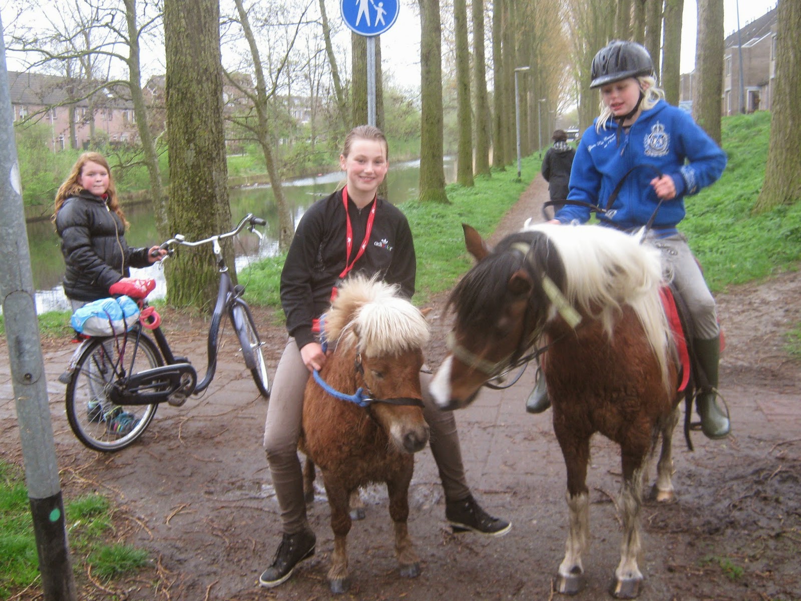 BEIJUMNIEUWS: PONY-PAARD MEIDEN LANGS DE ZUIDWENDING
