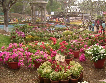Trivandrum Flower Show 'Pushpolsavam 2012' | Trivandrum ...