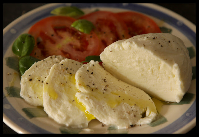 The Mighty Cheeseboard: CHEESE OF THE DAY: MOZZARELLA