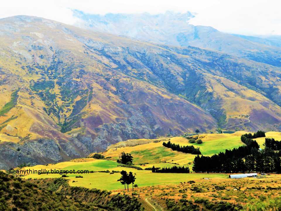 anythinglily: Cardrona Attractions