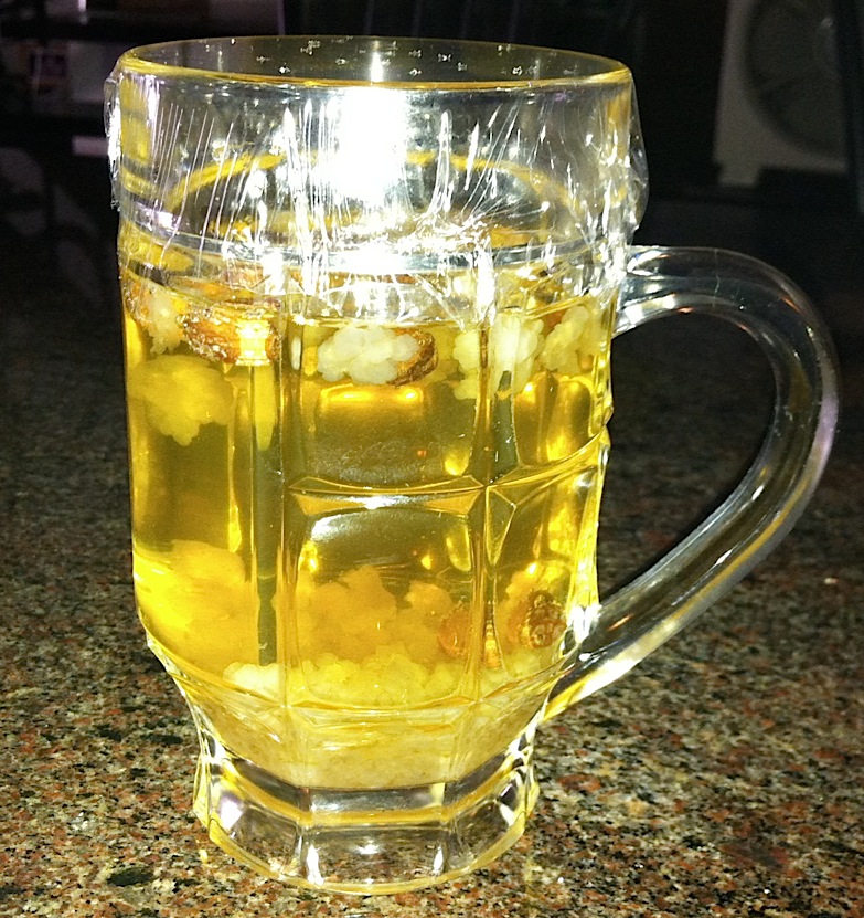 Water Kefir / Tibicos