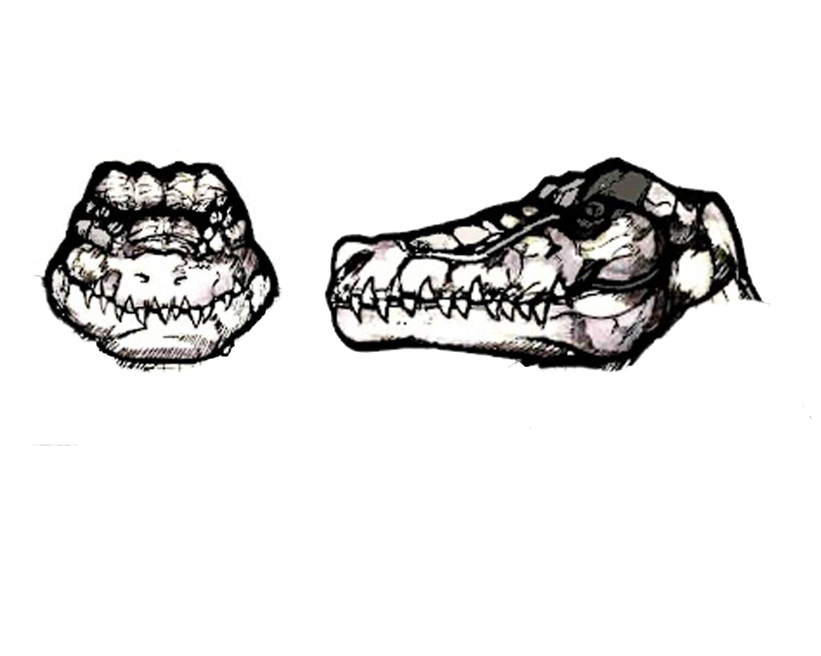 sweety pie neo: Wip - Anthro croc- coloured