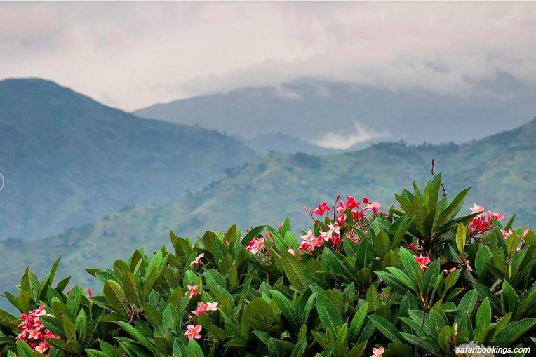 Siapa Bilang Wakanda Hanya Ada Di Marvel, Berikut 10 Potret Keindahan ...