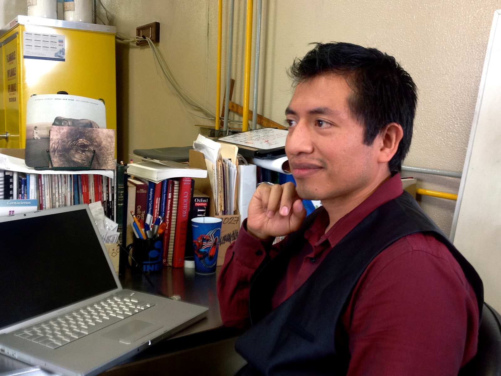 Sociedad Mexicana de Inmunología Capítulo de Citometría de Flujo ...