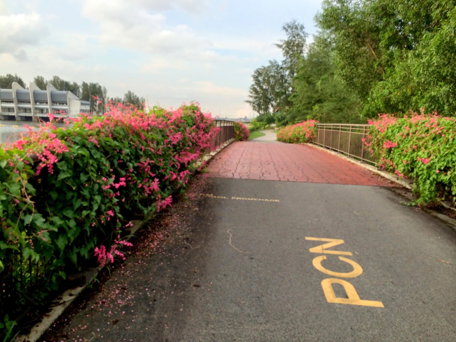 Capture life as I see it: Parks, PCN Singapore