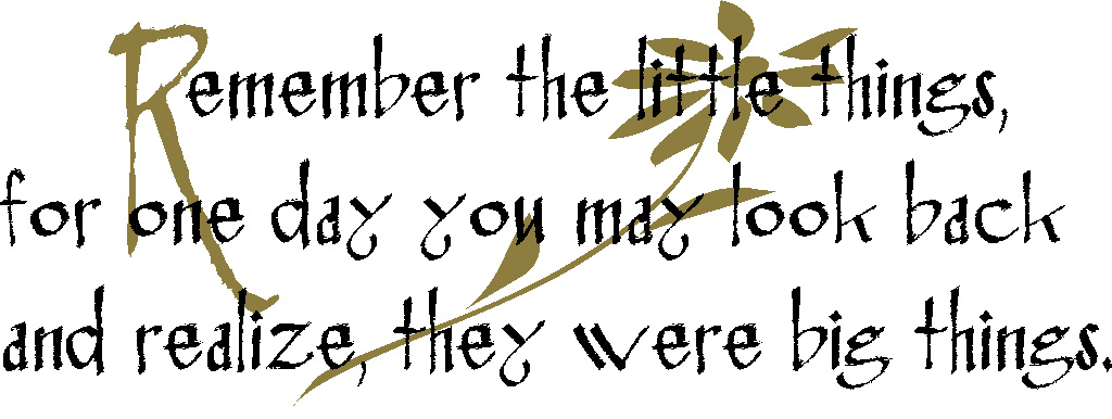 WordsWherever Vinyl Lettering: Remember the little things, for one day ...