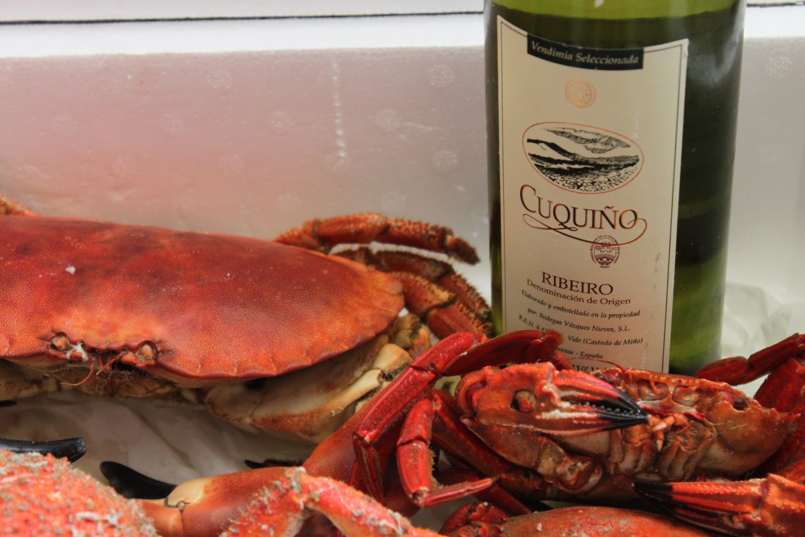 KESITO: BICHOS DEL MAR