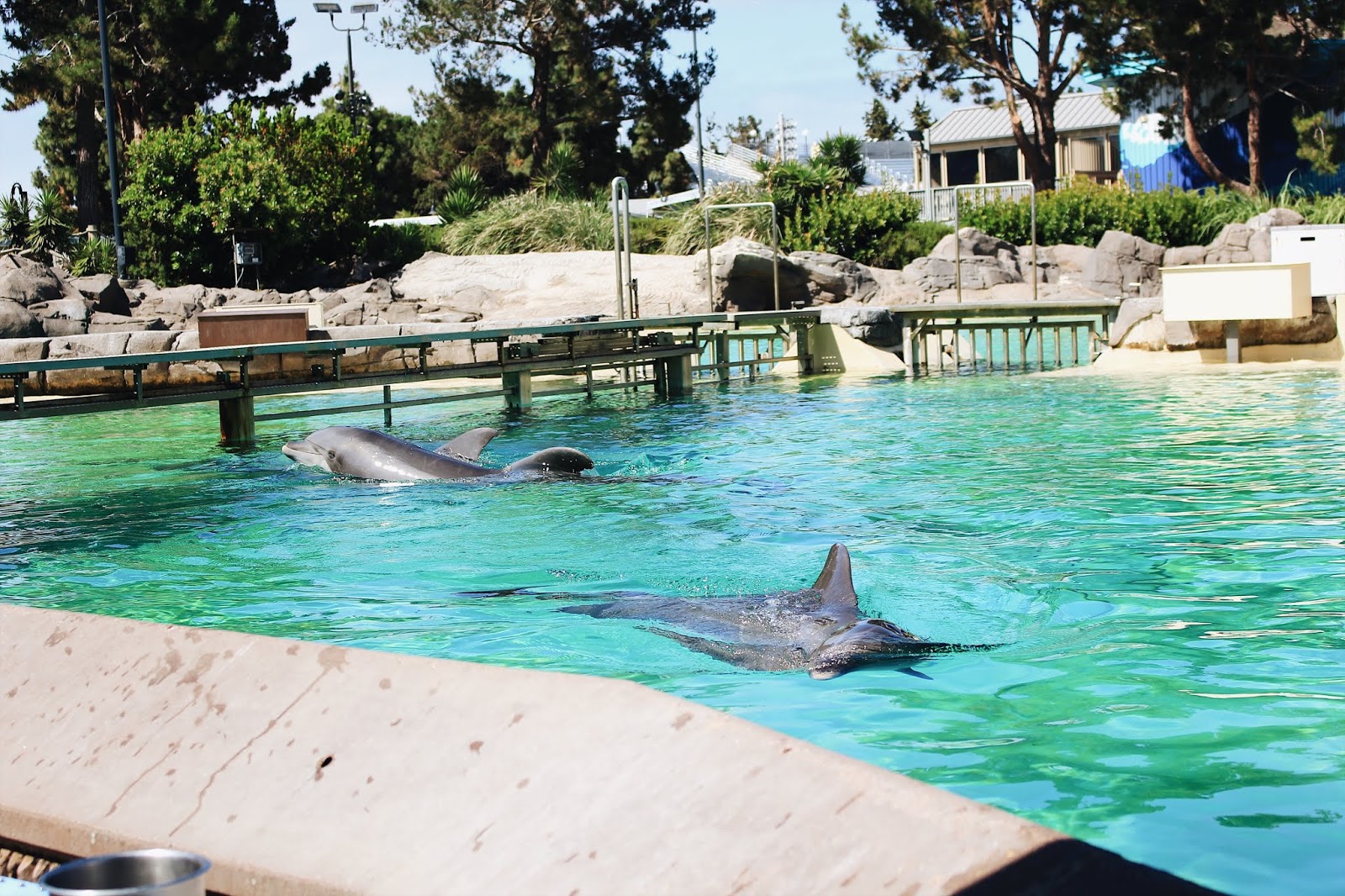 San Diego Photo Diary (SeaWorld & Beach) - The Trendy Chick