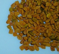 sugar, spice, asam and garam..since 2010: Khasiat Halba - Fenugreek :)