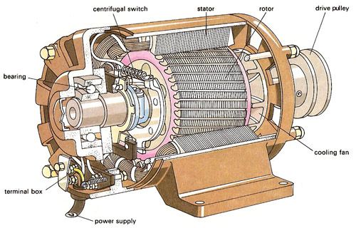 Electrical and Electronics Engineering: Electric Motor
