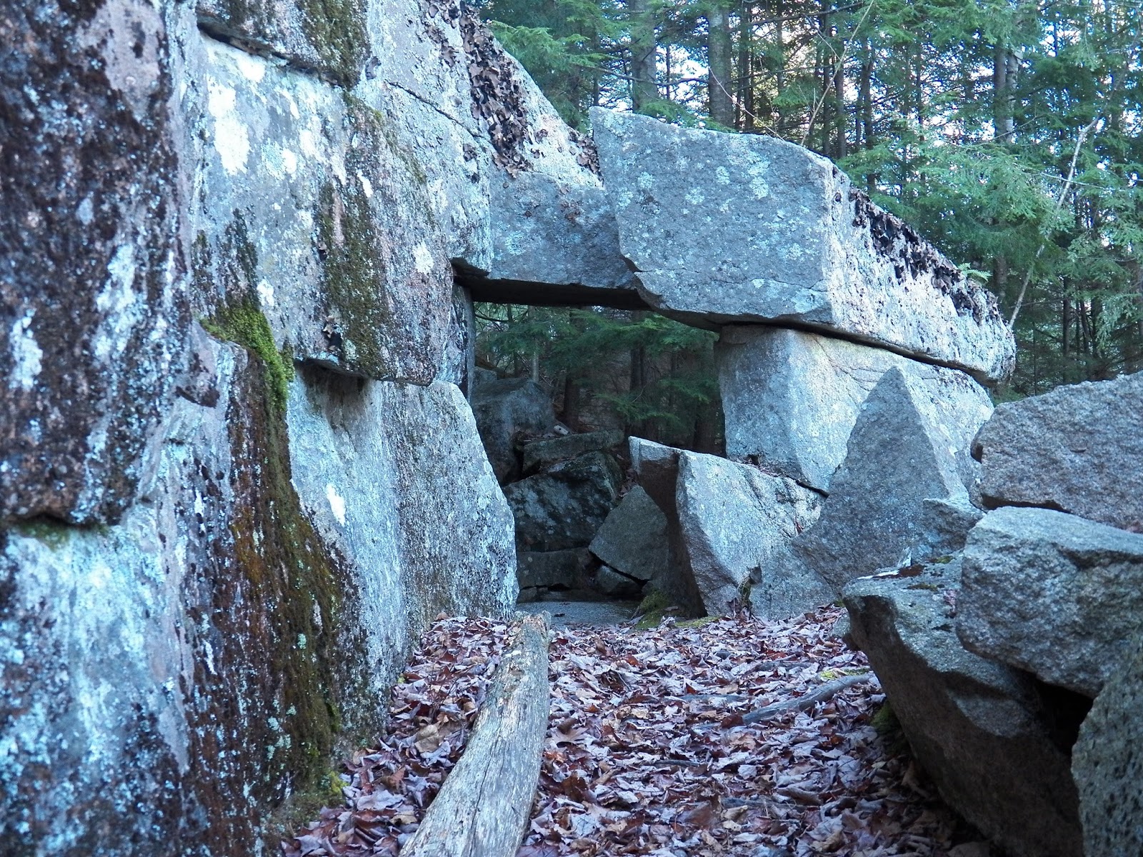HIKING TRAILS OF ACADIA NATIONAL PARK: THE DORR MOUNTAIN HOMANS TRAIL