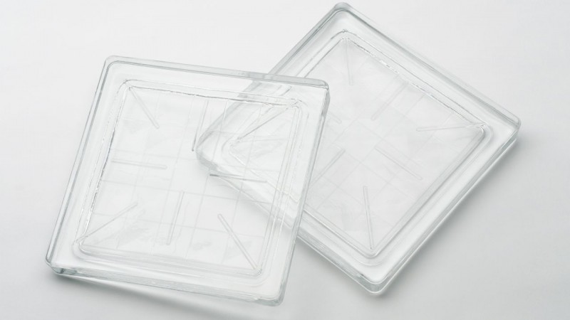 A Step by Step Guide to Select a Glass Floor or Bridge - Teach civil