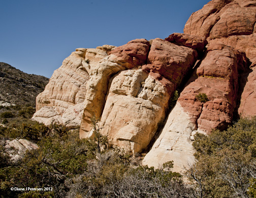 Original Images: Brownstone Canyon Red Rock National Conservation Area