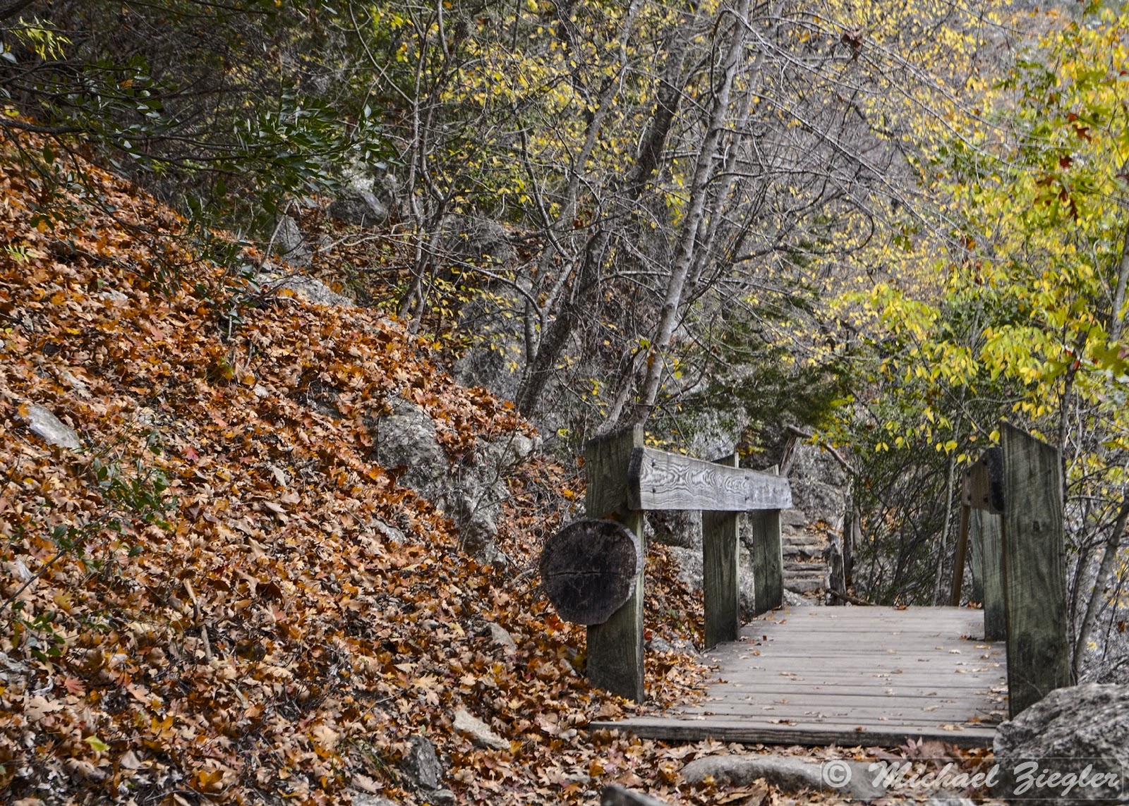 MY PHOTOGRAPHIC MEMORIES: Lost Maples State Natural Area