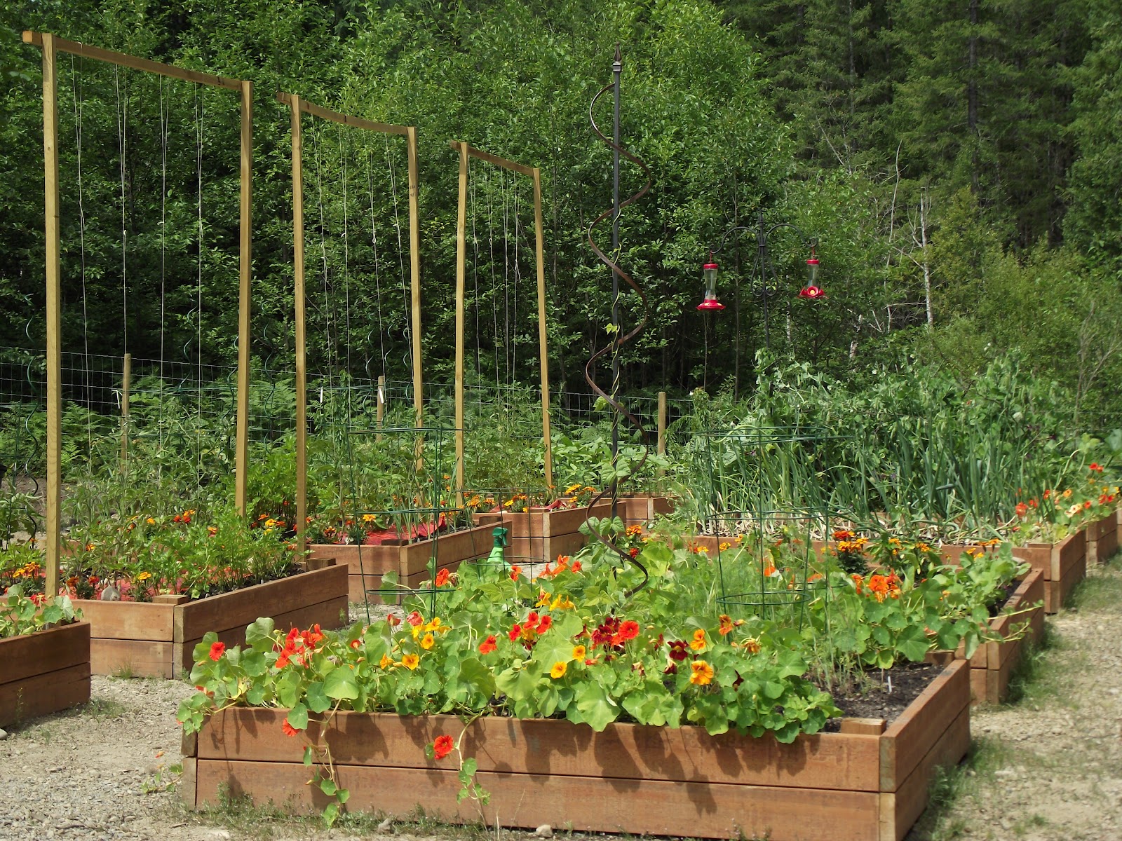 The Nitty Gritty Potager: For The Love of Potagers