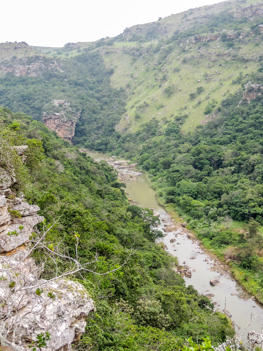 Pondoland C.R.E.W. Blog: A second visit to the Lower Smedmore forests