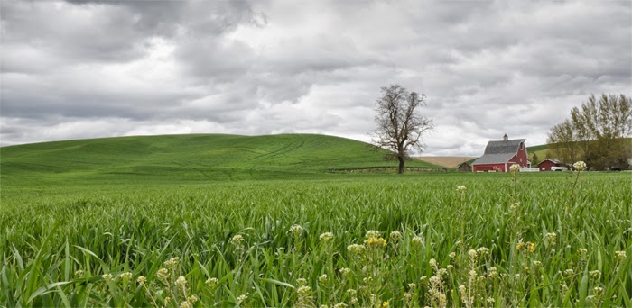 Dream Big Live Real: Photo: Life On The Farm