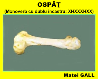 PĂTRĂȚICĂ-blog-Aidimireanu-Stoian: OSPĂŢ - Enigmă de Matei GALL