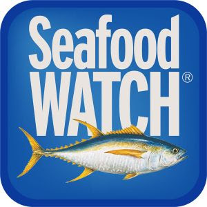 lea michele: Monterey bay aquarium seafood watch