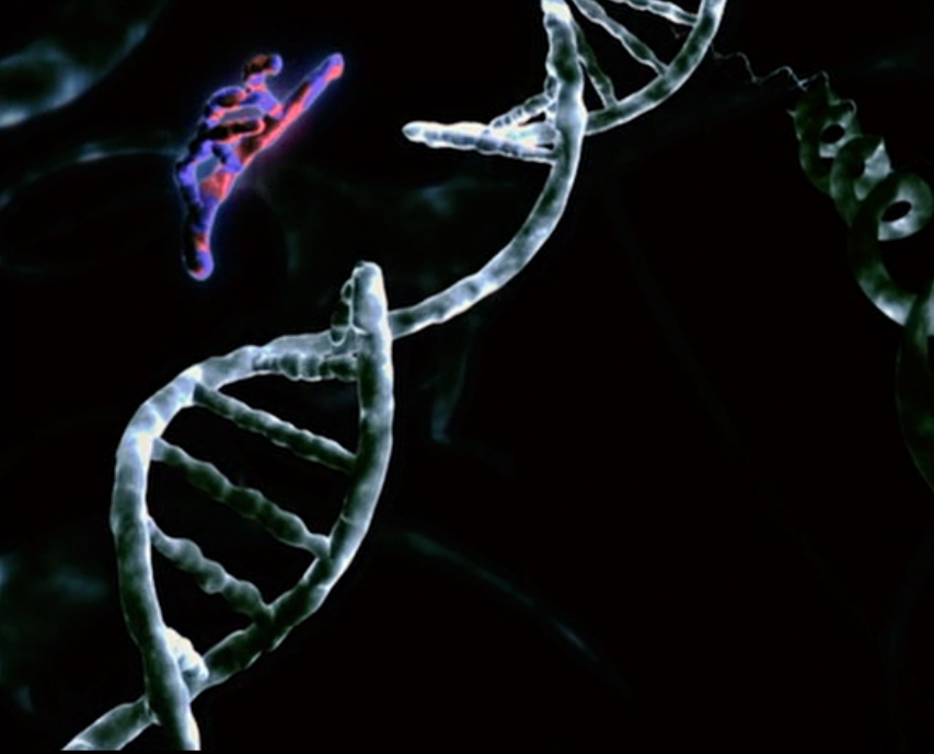 It Looks Human: Spider-Man (2002) - "Genetically Designed Super Spiders"