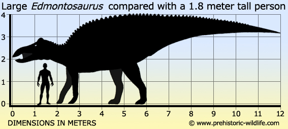 Tsunosaurus: Edmontossauro