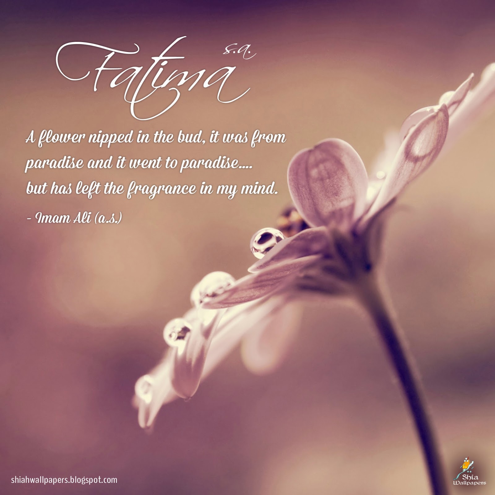 Shia Wallpapers: Fatima (s.a.): Flower from Paradise