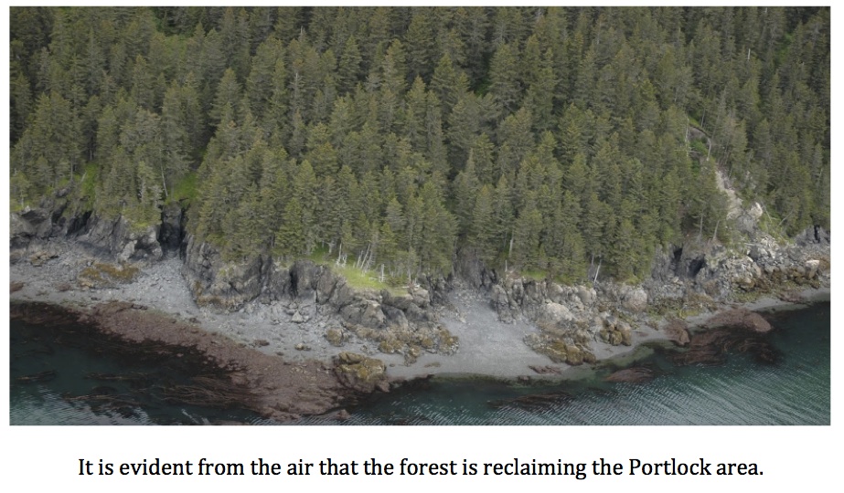 Texas Cryptid Hunter: Sasquatch Classics: Murder and Mayhem in Portlock ...