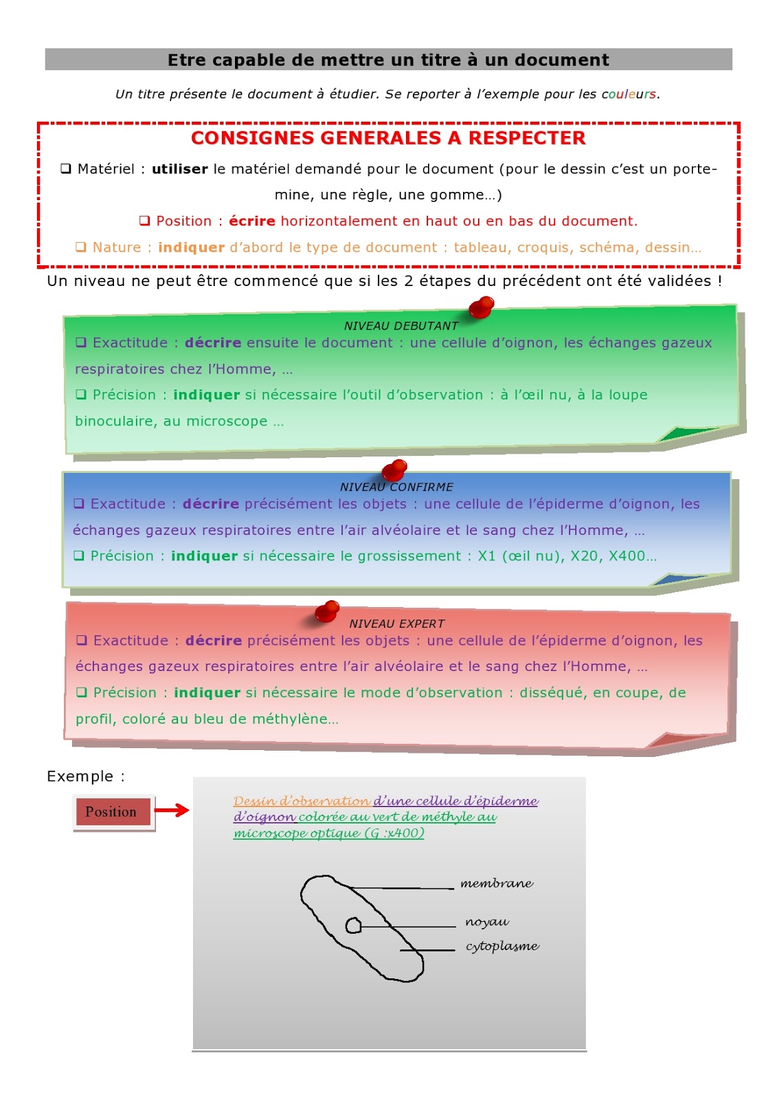 I LOVE SVT: fiches méthode